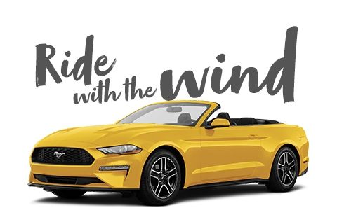 Used cars for sale in Florida | HGreg.com